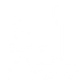 Manuals – PurSteam